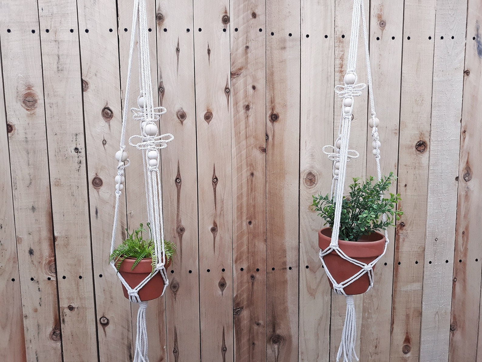 Dragonfly Macrame Plant Hanger Macrame Indoor Garden Pot - Etsy