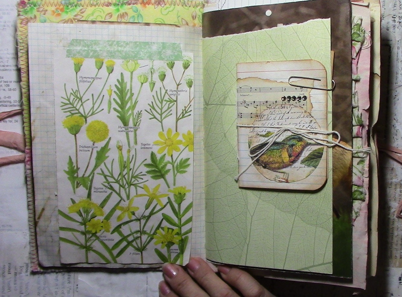 A Victorian Velvet Pink & Green Journal - Etsy