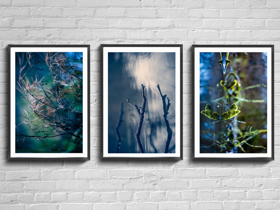 Abstract Nature Triptych Dark Photo Print Triptych - Etsy UK