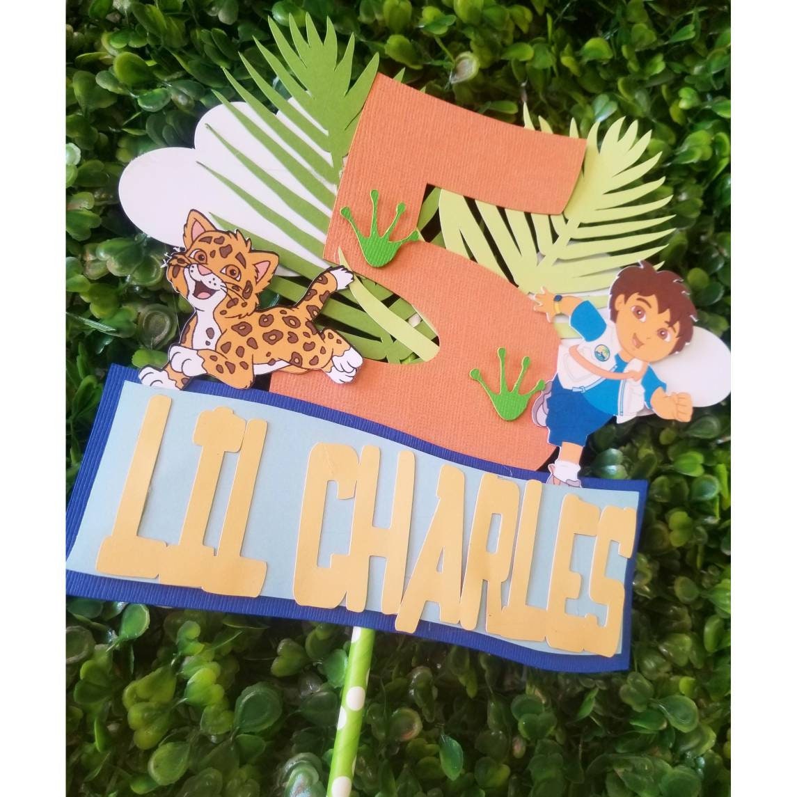 Go Diego Go Cake Ideas