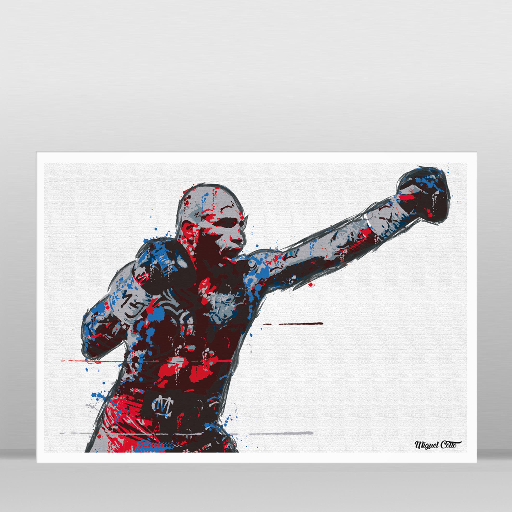 Miguel Cotto Balls