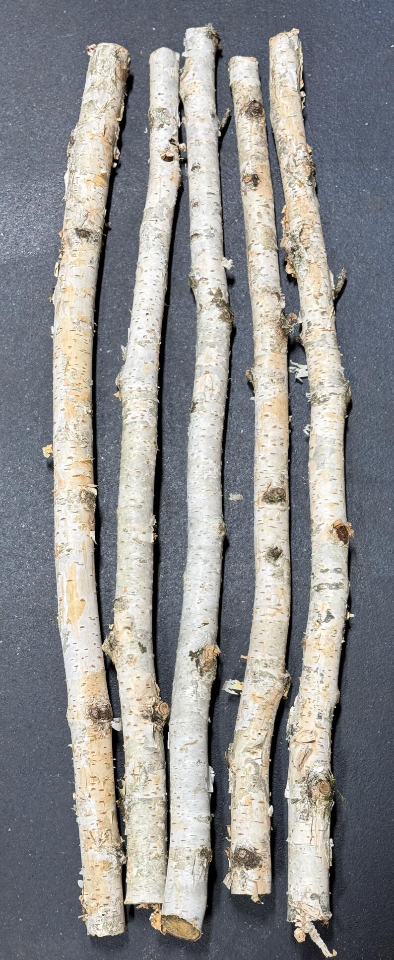 Birch Branches, White Birch, Birch Sticks, Bundle of Birch Branches - Etsy