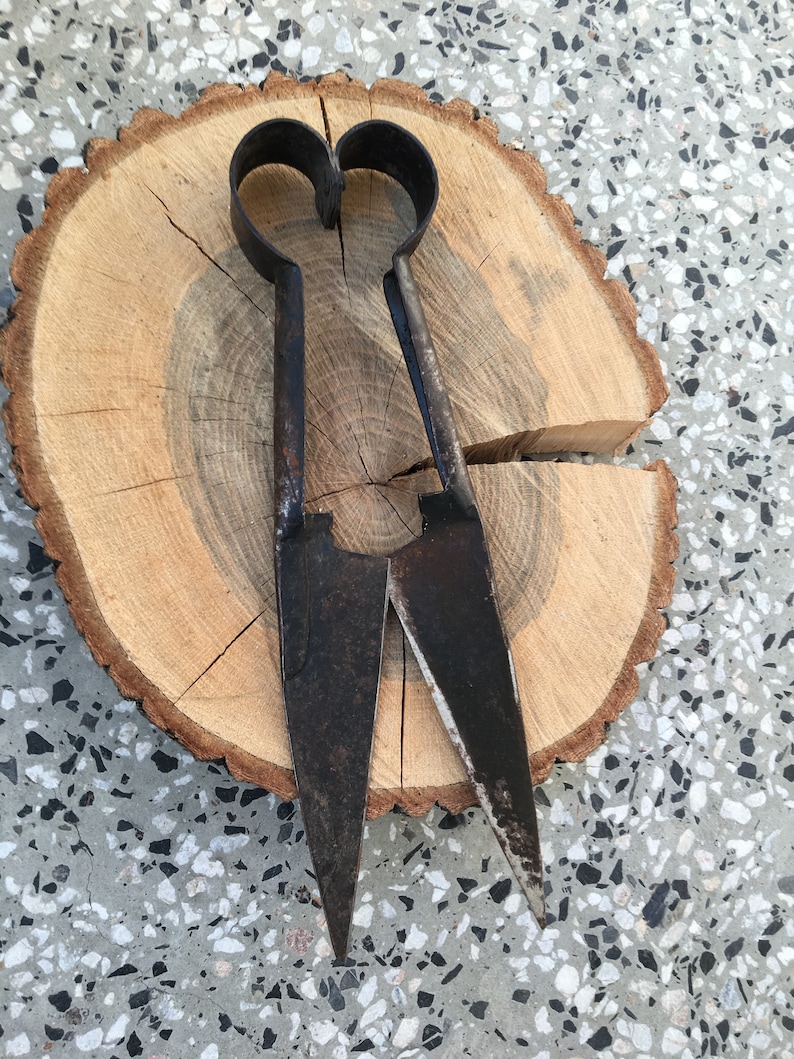 1930's Scissors Vintage Scissors Wool Shears Sheep - Etsy Sweden