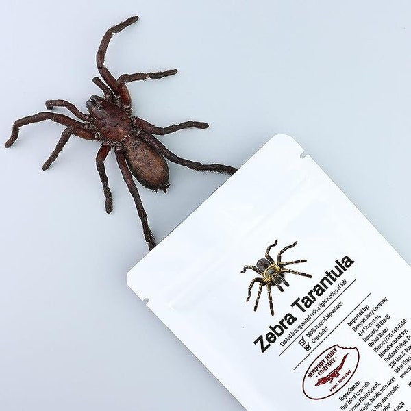 Tarantula - Etsy