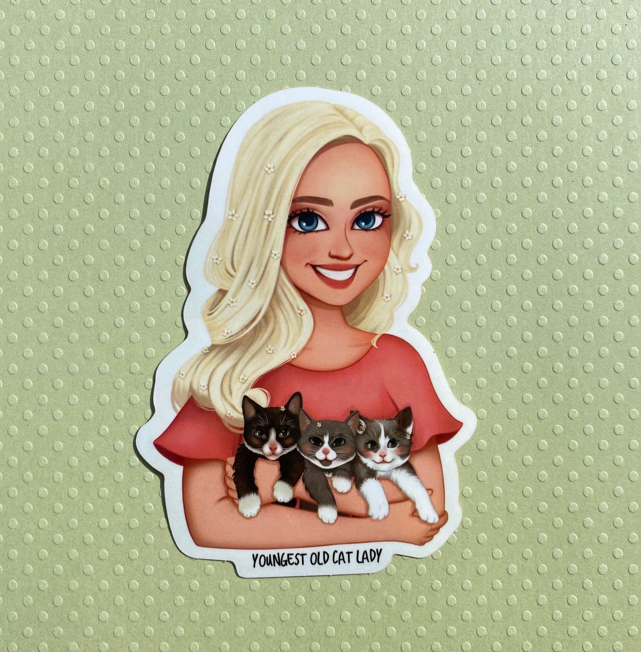 Old Cat Lady Cartoon