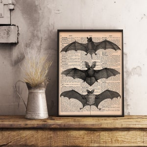 Bat Skeleton Dark Gothic Odd Scary Witch Punk Halloween Spooky Goth ...