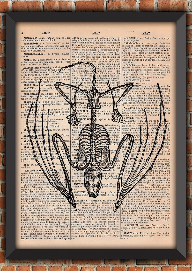 Bat Skeleton Dark Gothic Odd Scary Witch Punk Halloween Spooky - Etsy