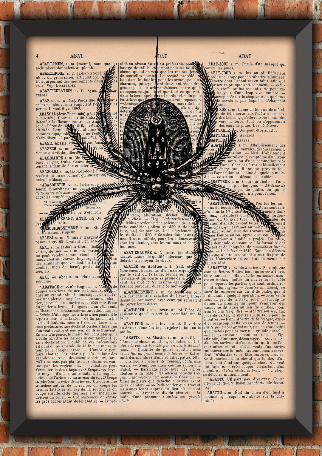 Spider Dark Gothic Bugs Odd Scary Witch Punk Halloween Spooky Goth ...