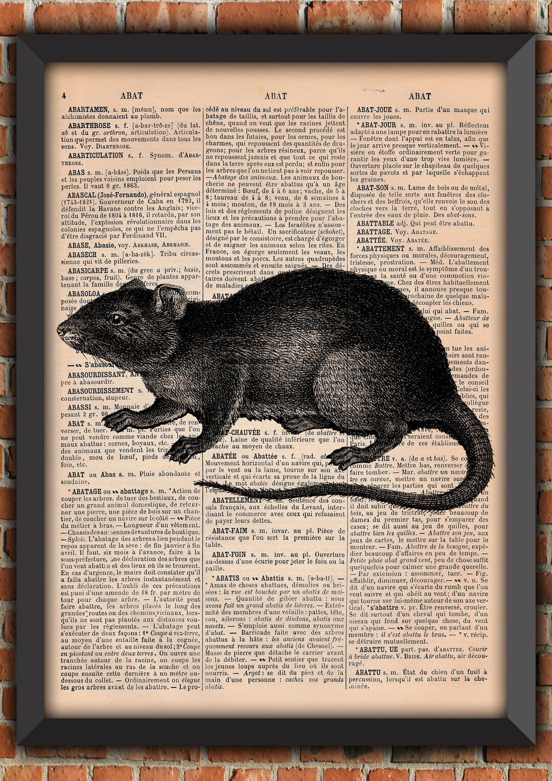 Rat Rodent Dark Gothic Odd Scary Witch Punk Halloween Spooky Goth ...