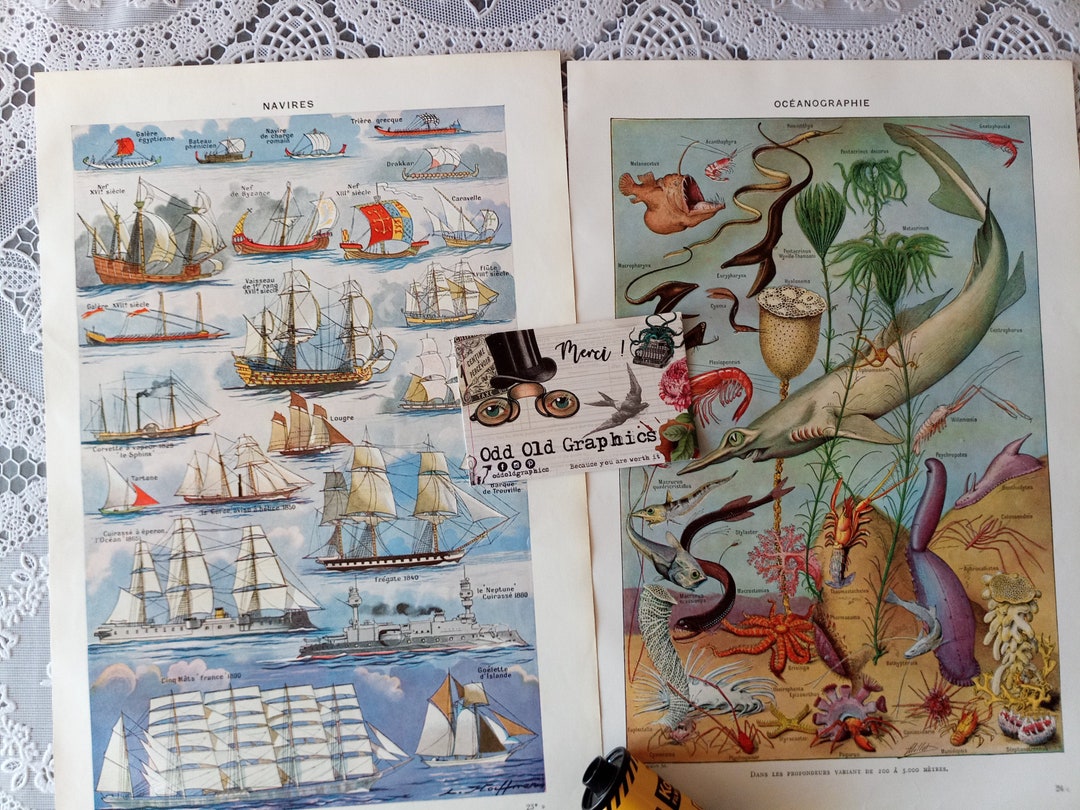 Set 2 Prints, Marine Decor, Coastal Decor, Oceanography Poster, Diving ...
