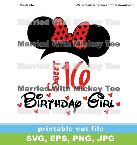 Celebrating Sweet 16 Castle Minnie Mouse Birthday Girl Mom Dad Brother ...