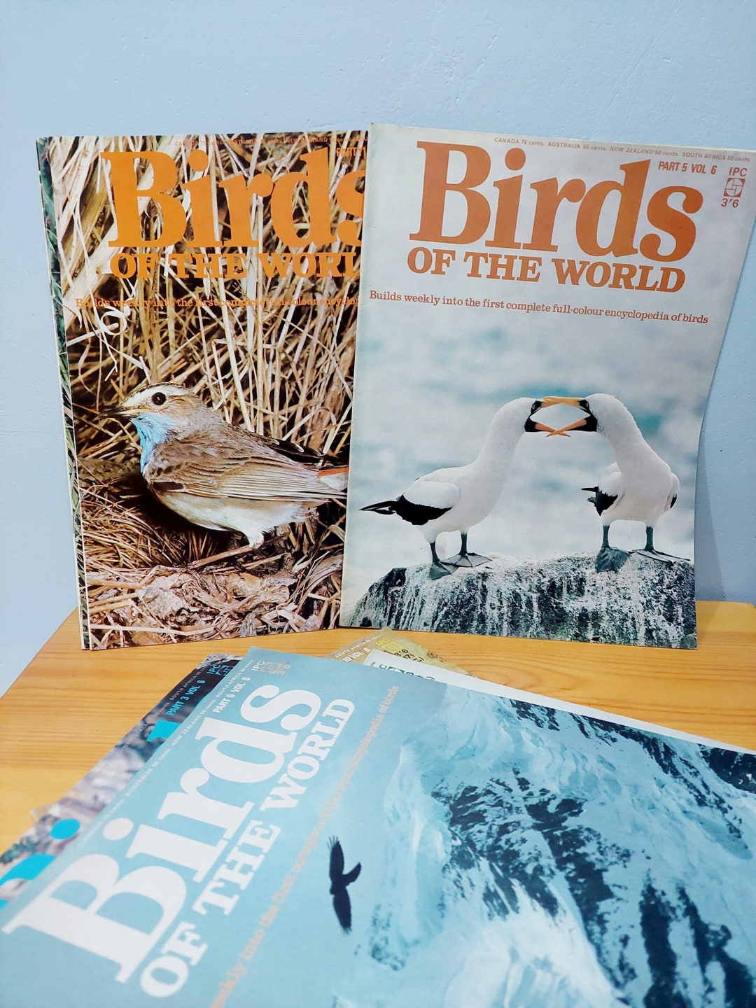 Vintage "birds of the World" Set of 12 Magazines From 1969, Vol 6 - Etsy