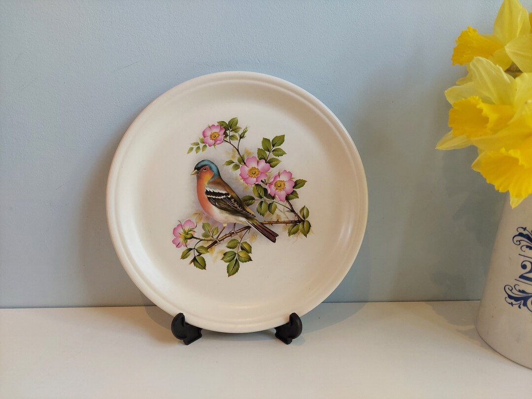Vintage Barratts of Staffordshire Plate, 10 Inches Made in England - Etsy