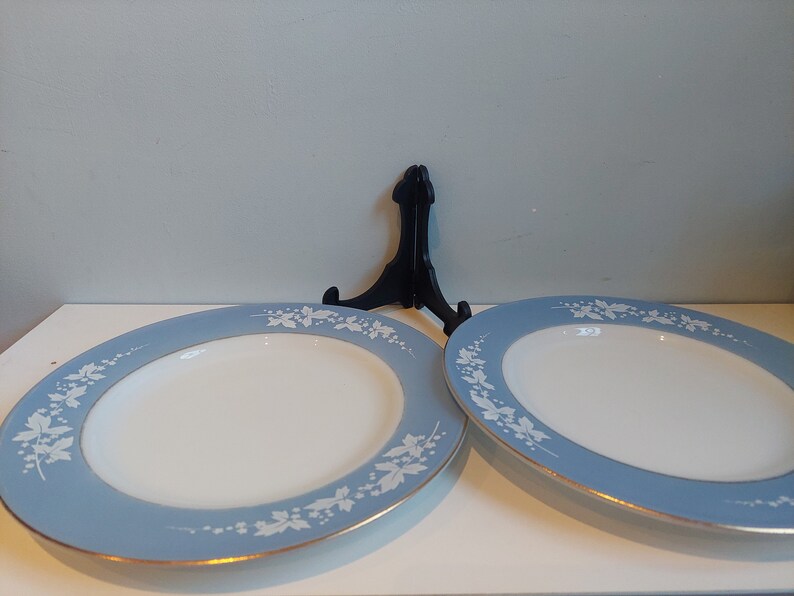 Vintage Pair JAJ Pyrex Azure Blue Hawthorn Dinner Plates, 9.75 Inches ...