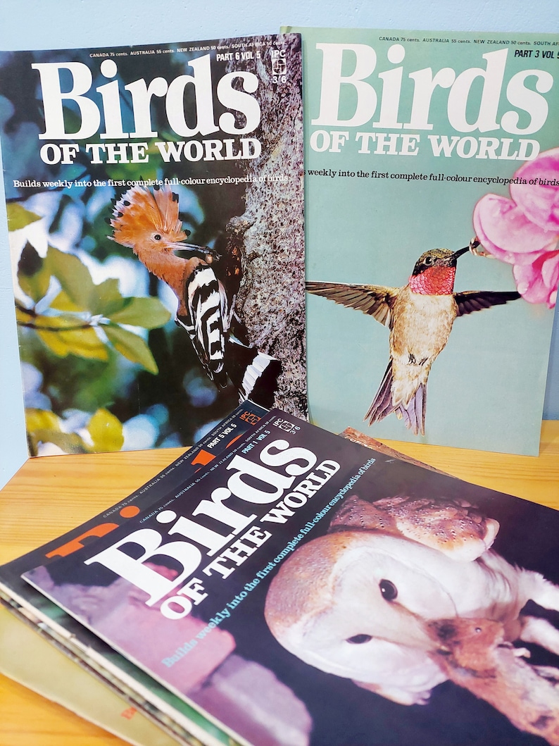 Vintage "birds of the World" Set of 12 Magazines From 1969, Vol 5 - Etsy