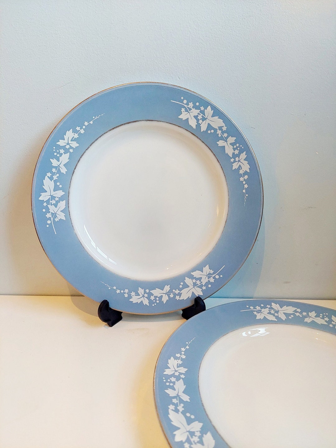 Vintage Pair JAJ Pyrex Azure Blue Hawthorn Dinner Plates, 9.75 Inches ...