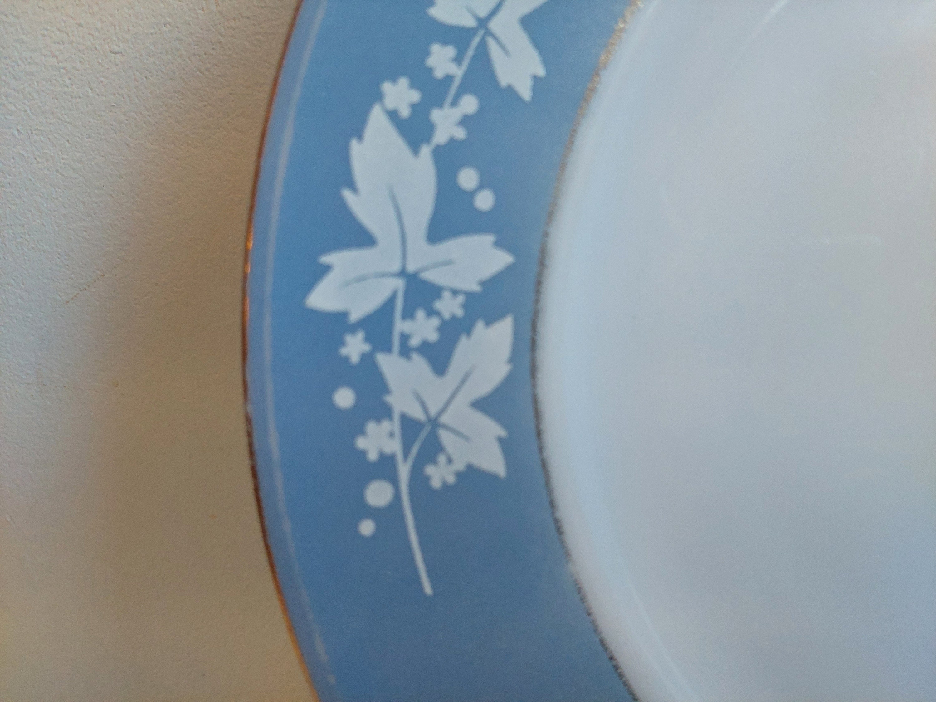 Vintage Pair JAJ Pyrex Azure Blue Hawthorn Dinner Plates, 9.75 Inches ...