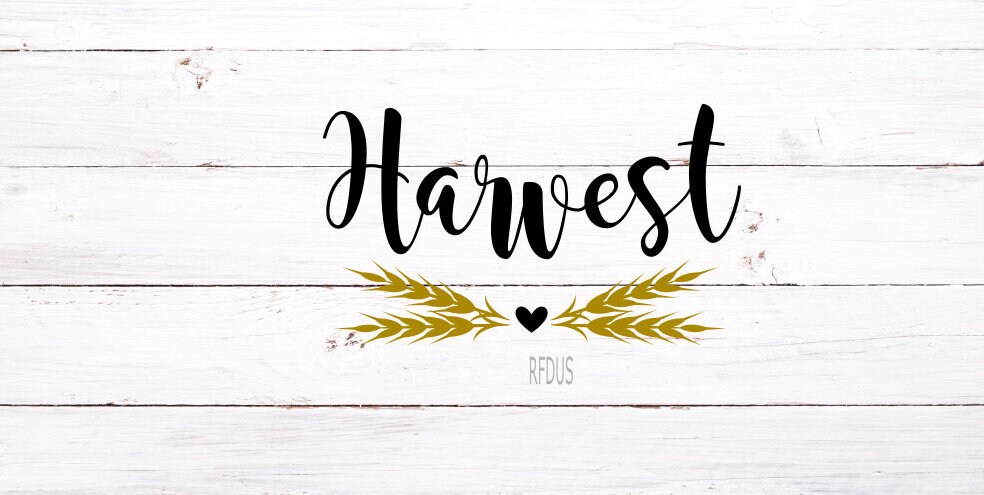 Harvest Rustic SVG File, Wheat Svg File, Svg Cutting File, Download ...