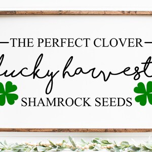 SVG FILES the Perfect Clover Lucky Harvest Shamrock Seeds Commercial ...