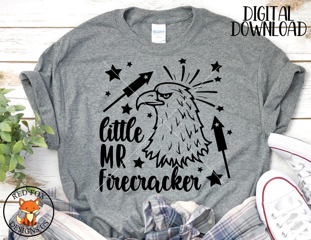 Little Mr Firecracker Svg My First 4th Svg Fourth of July - Etsy