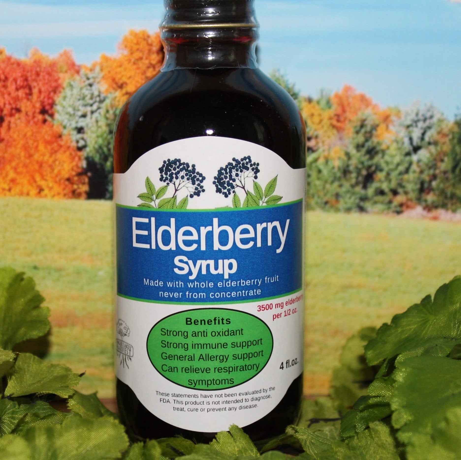 Elderberry Syrup | Etsy