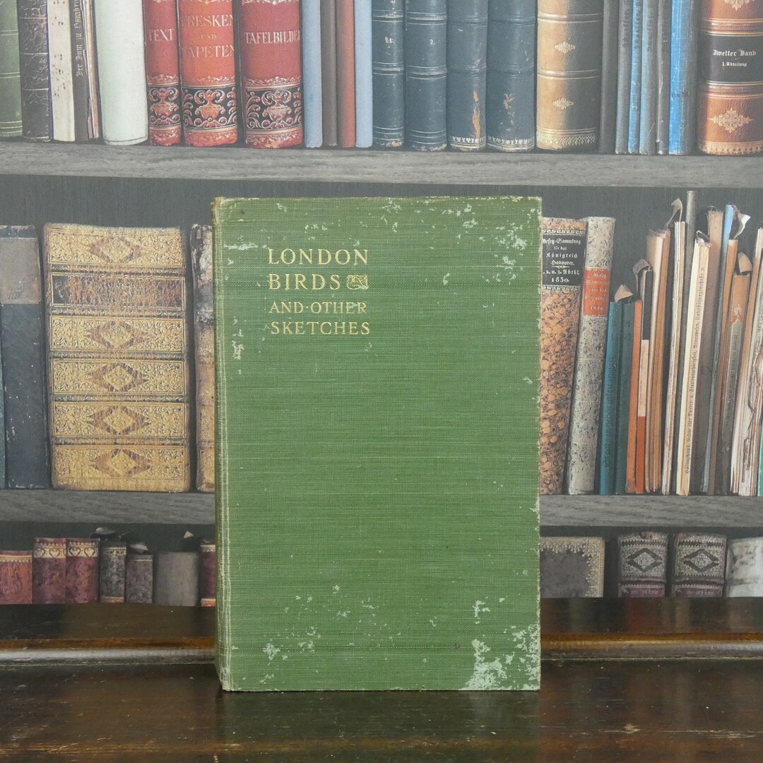 London Birds and Other Sketches Digby Pigott 1902 Antique Book - Etsy UK