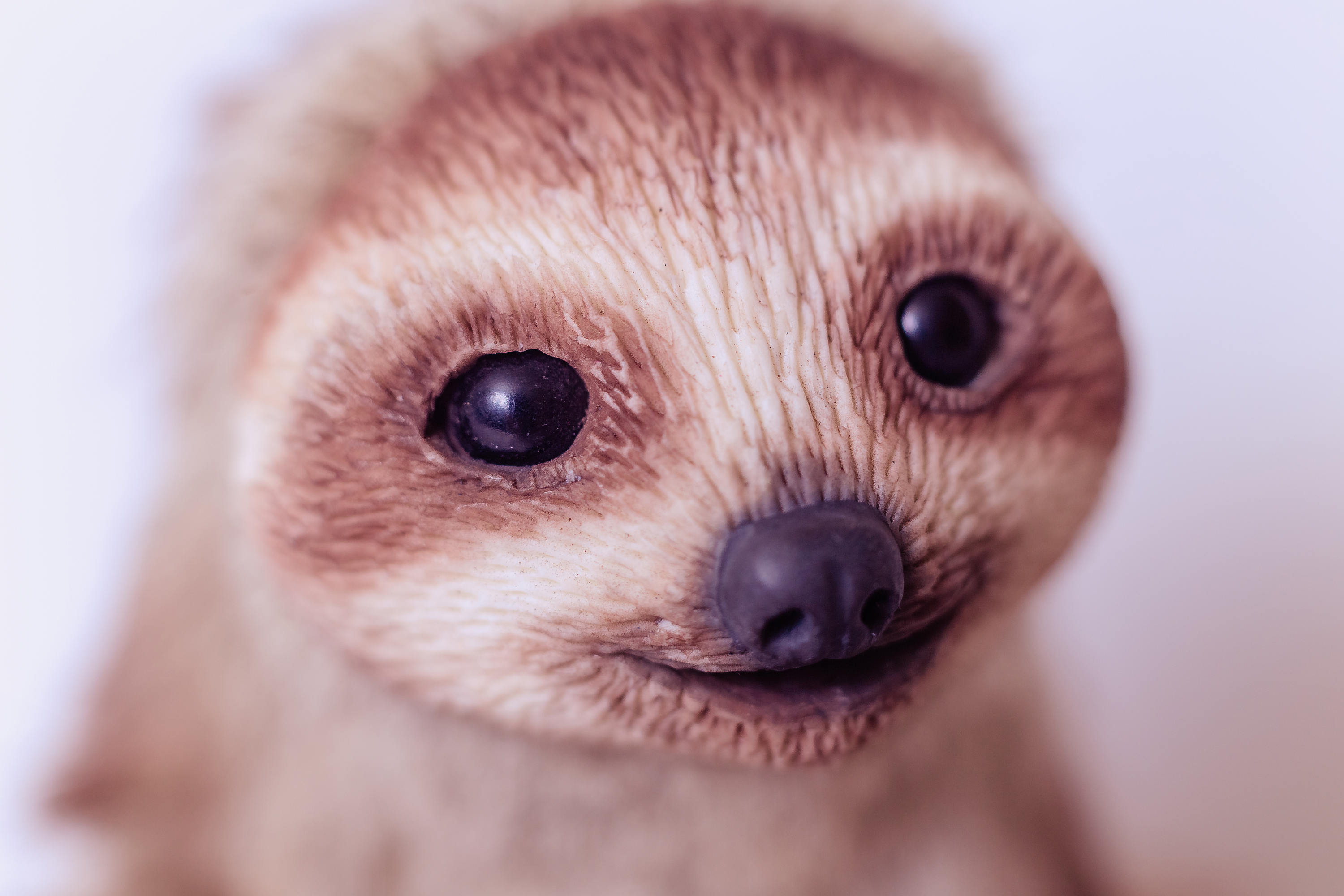 Art Doll animals Sloth clay sculpture Staffed sloth | Etsy