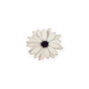 White Daisy Flower Sticker With White Border | 3” Floral Sticker | Real ...