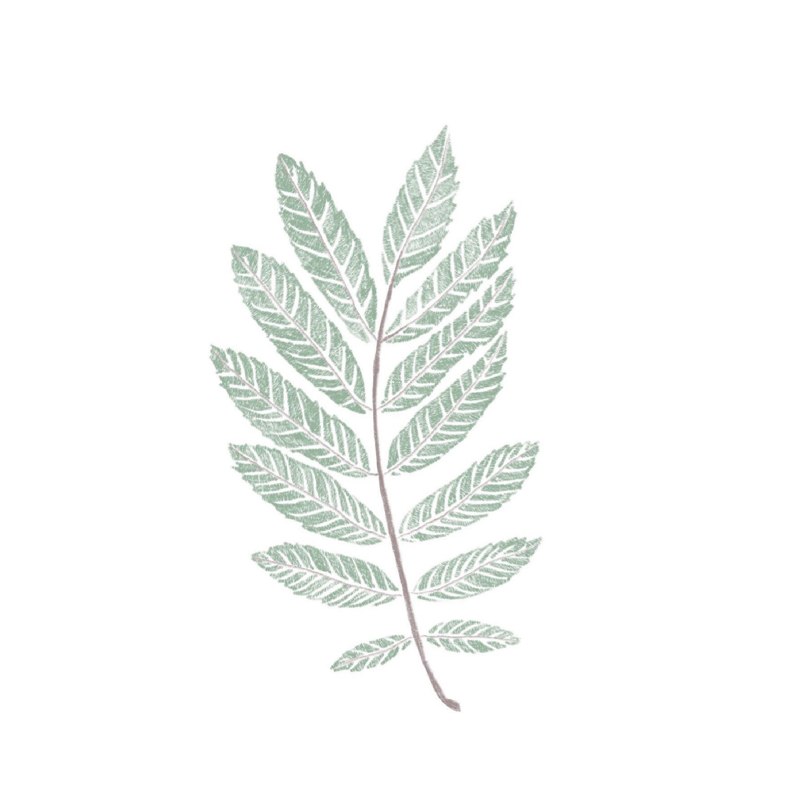 Greenery Digital Download - Greenery Printable - Foliage Art - Plant ...