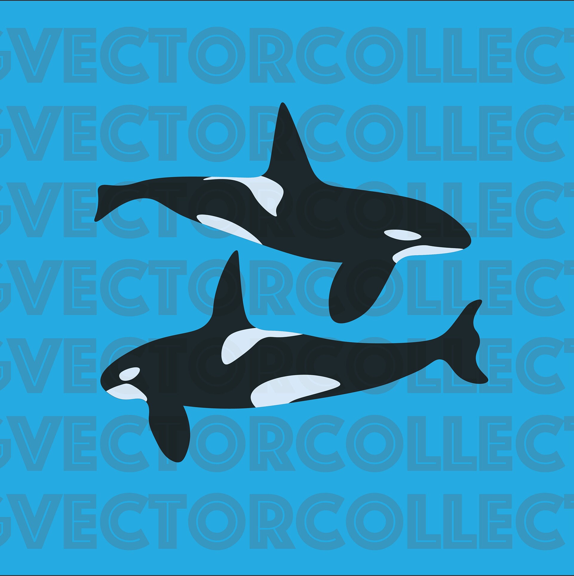 Orca Killer Whale Combo Pack, SVG DXF EPS Png, Clip Art, Instant ...