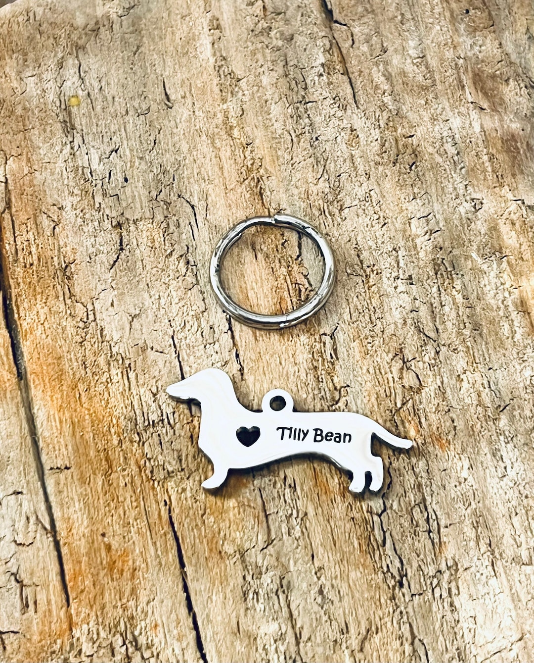 Tilly Bean, Custom Engraved Stainless Steel Dachshund Charm, Weiner Dog ...