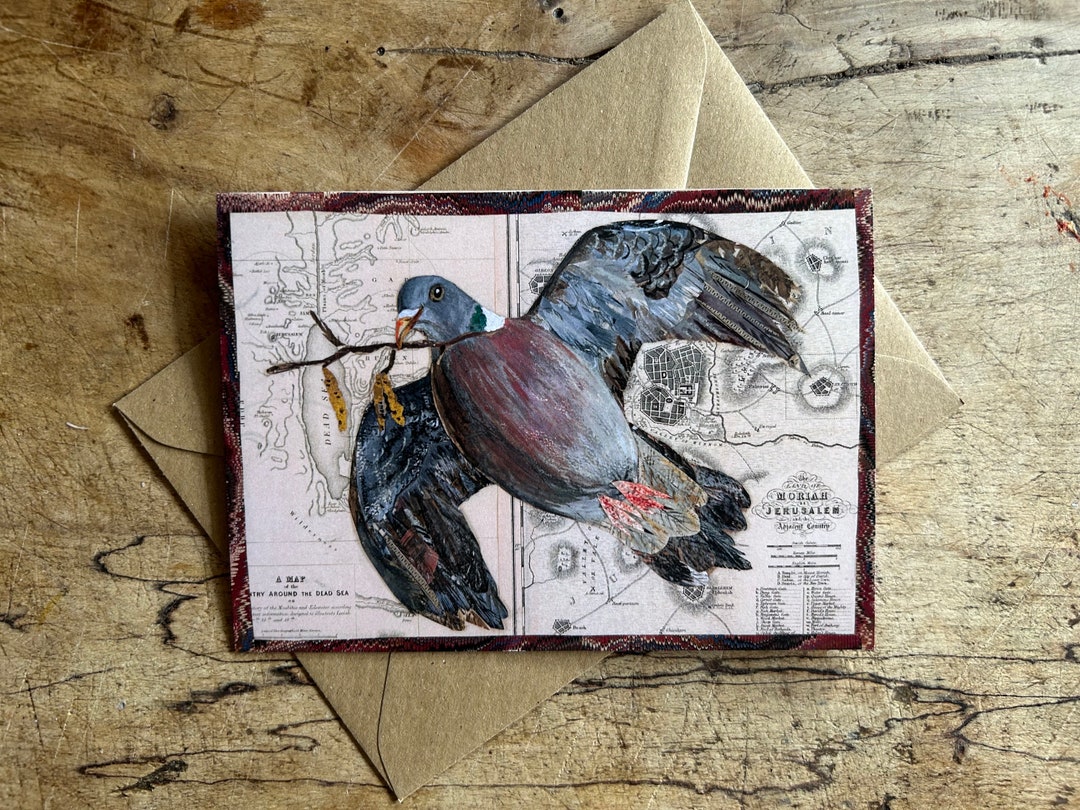 A6 Wood Pigeon Blank Greeting Card - Etsy