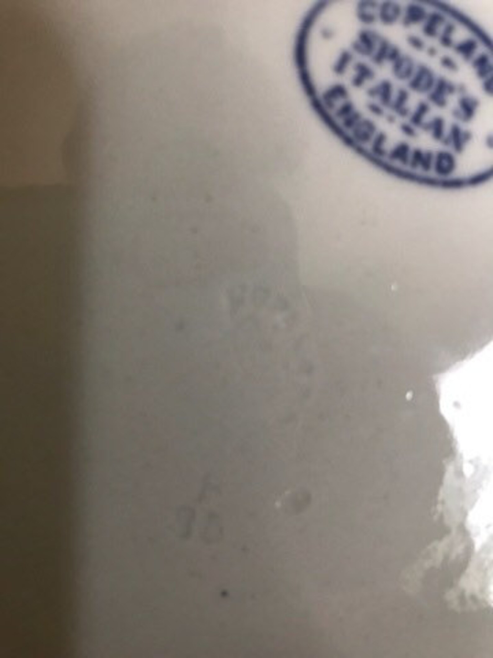 Copeland Spodes Blue Italian Made in England Serving or Fruit - Etsy