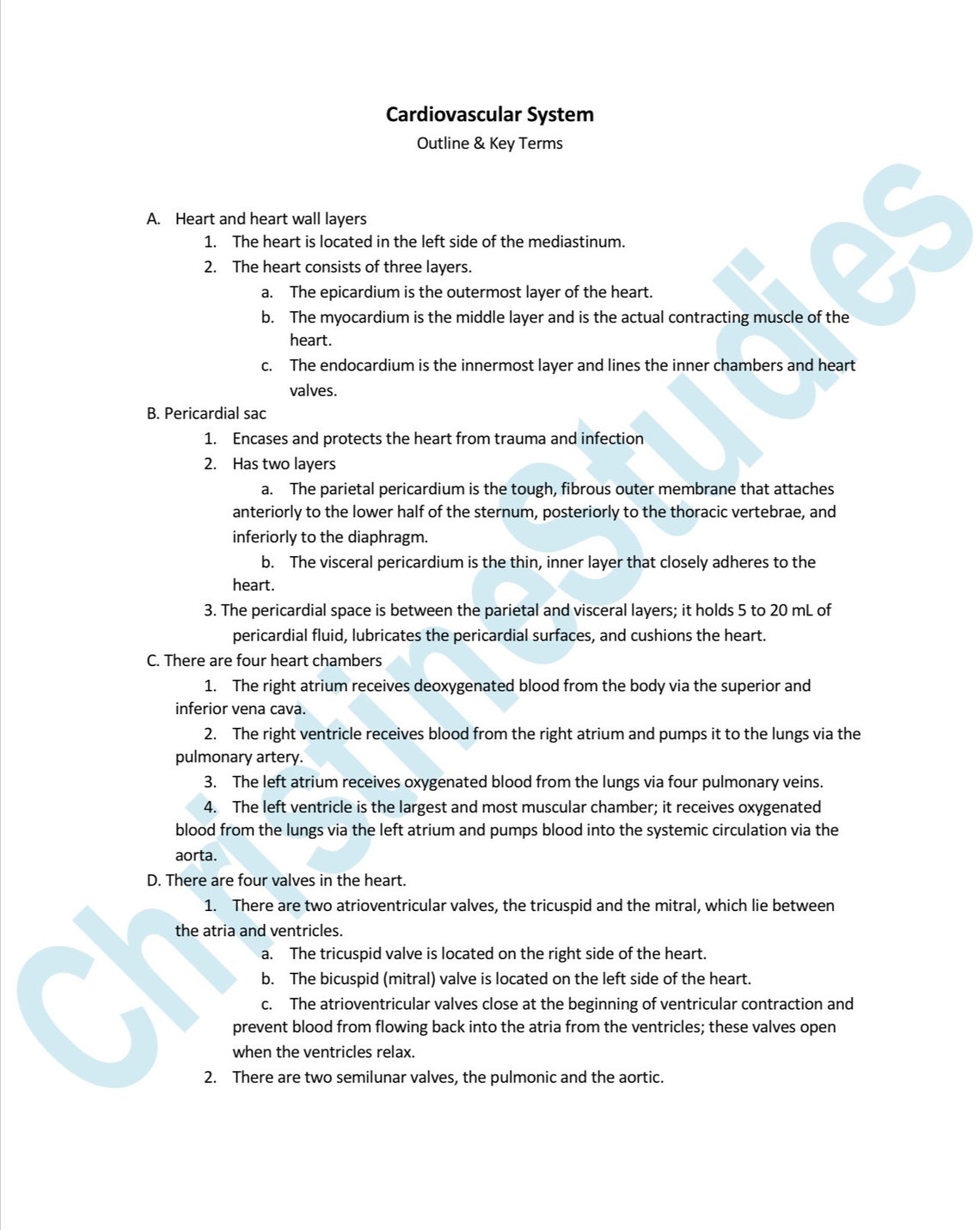 Cardiovascular System Study Guide Outline And Key Terms Etsy cardiovascular-system-study-guide-outline-and-key-terms-etsy