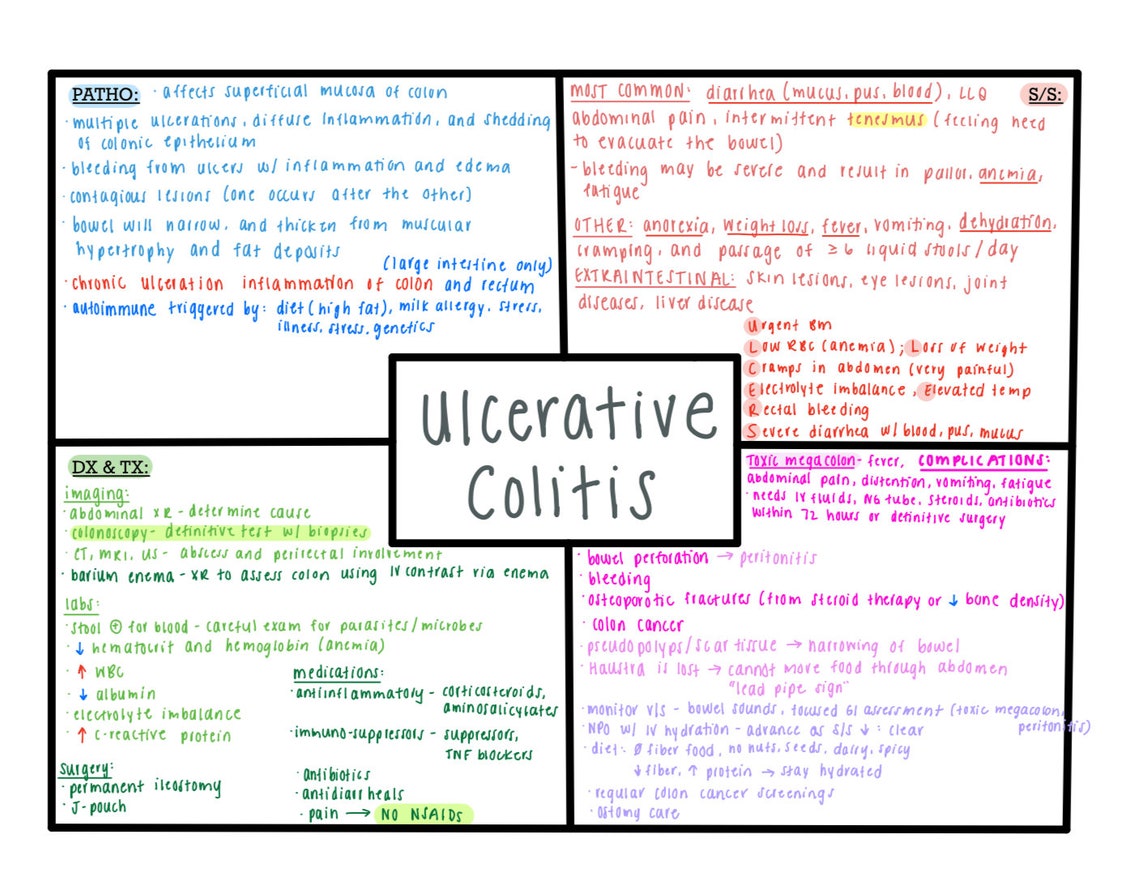 Gastrointestinal Disorders - Nursing School Notes! - Etsy