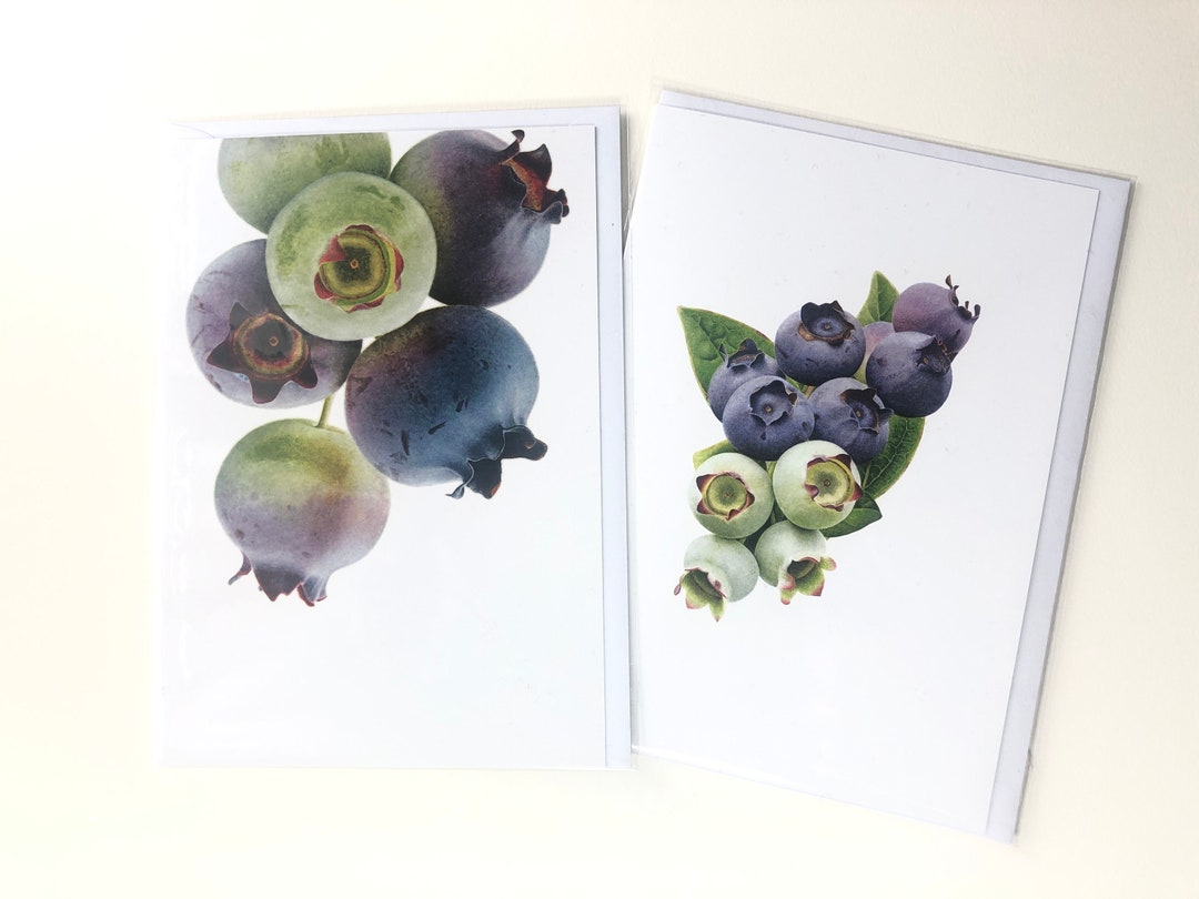 Blueberry Greetings Cards rectangular - Etsy