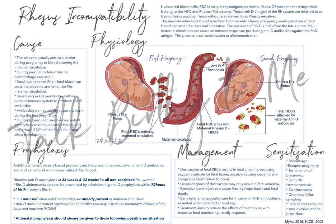 Rhesus Incompatibility - Etsy UK