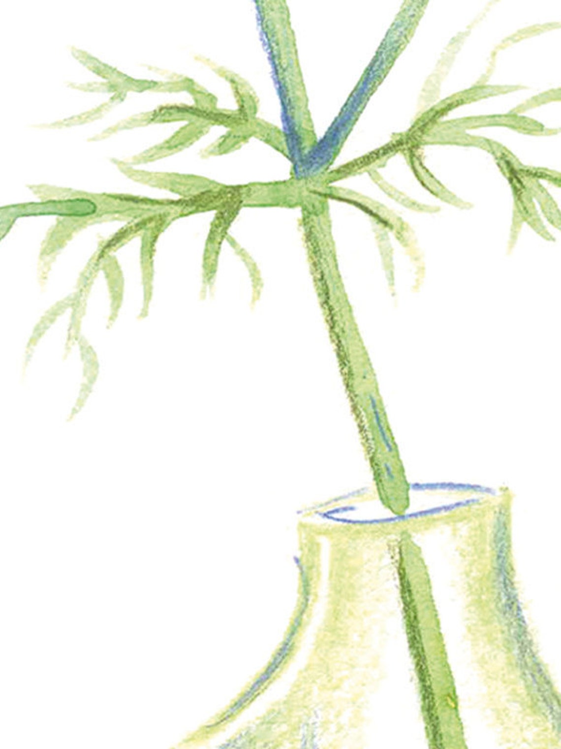 Wild Cosmos Flower in Vase Print, Watercolor Illustration, Botanical ...