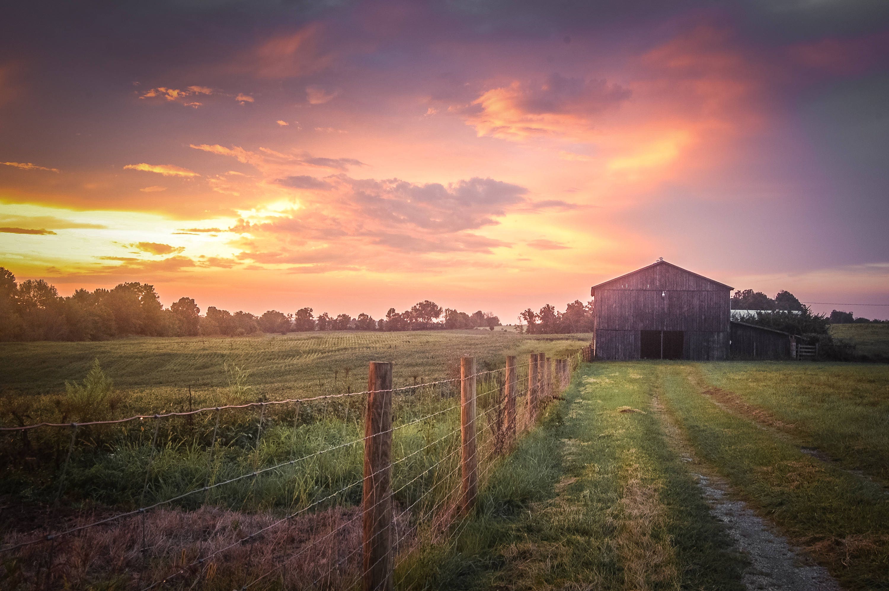Rural Kentucky Sunset - Etsy