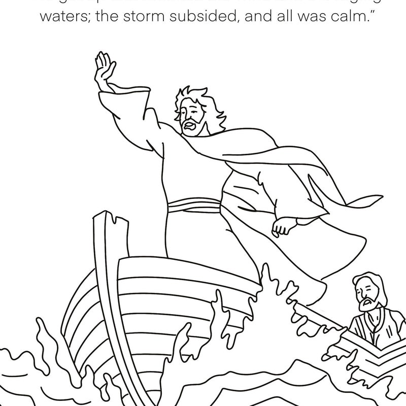 Jesus Calming the Storm Art - Etsy