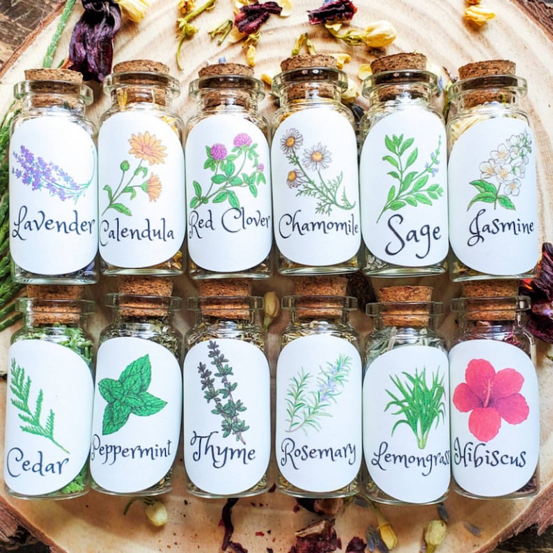 Mini Apothecary Herb Bottles Dried Herbs for Rituals - Etsy