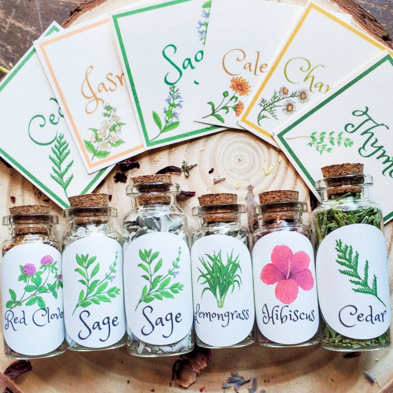 Mini Apothecary Herb Bottles Dried Herbs for Rituals - Etsy