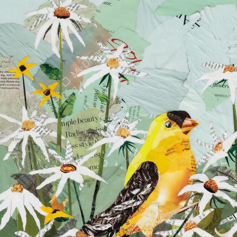 Goldfinch and Daisies Flowers 11x14 Giclee Print on 16x20 Backboard ...
