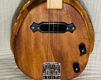 Turtle Shell Guitar - Etsy