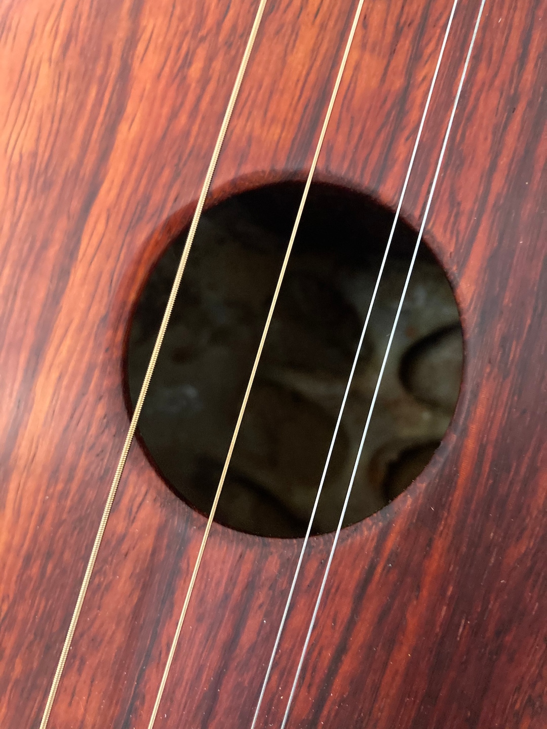 Turtle Shell Acoustic Dulcimer Guitar - Etsy