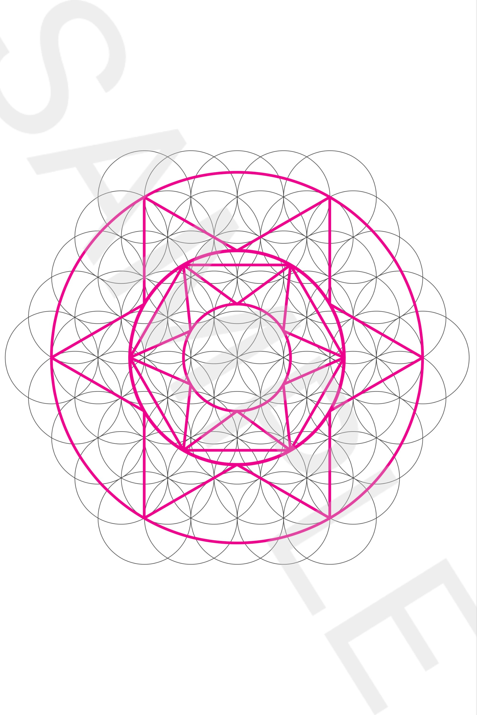 Sacred Geometry Printable X2 Crystal Grid Layout Pink - Etsy
