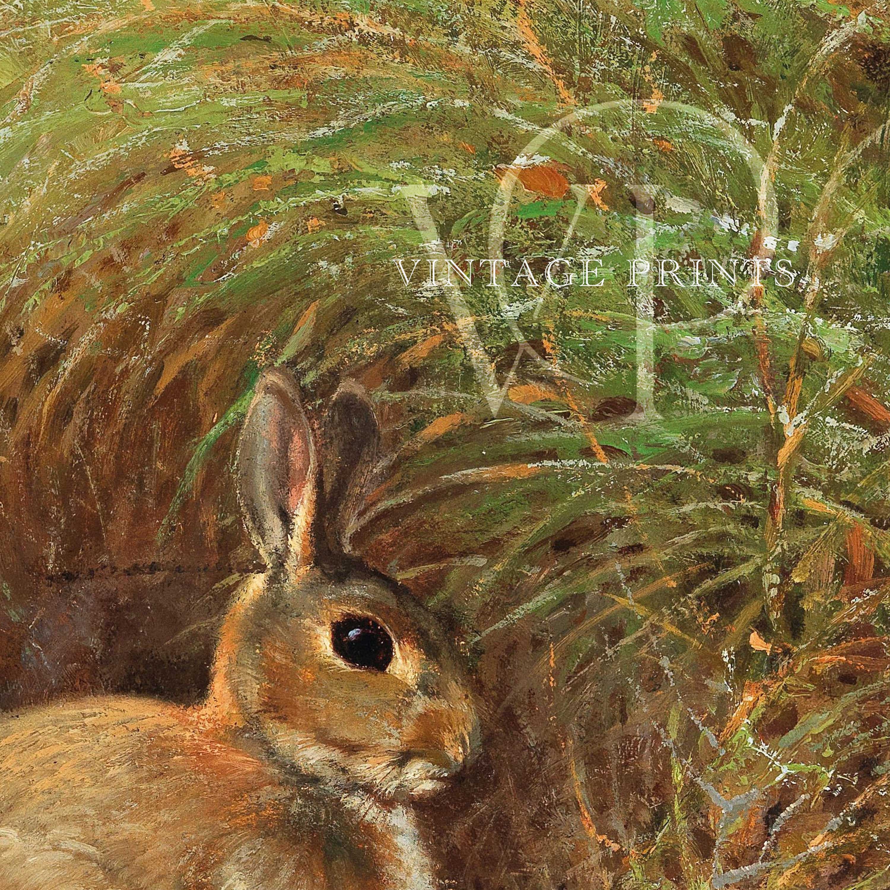 Rabbit Vintage Animal Print Nursery Wall Art Bunny - Etsy