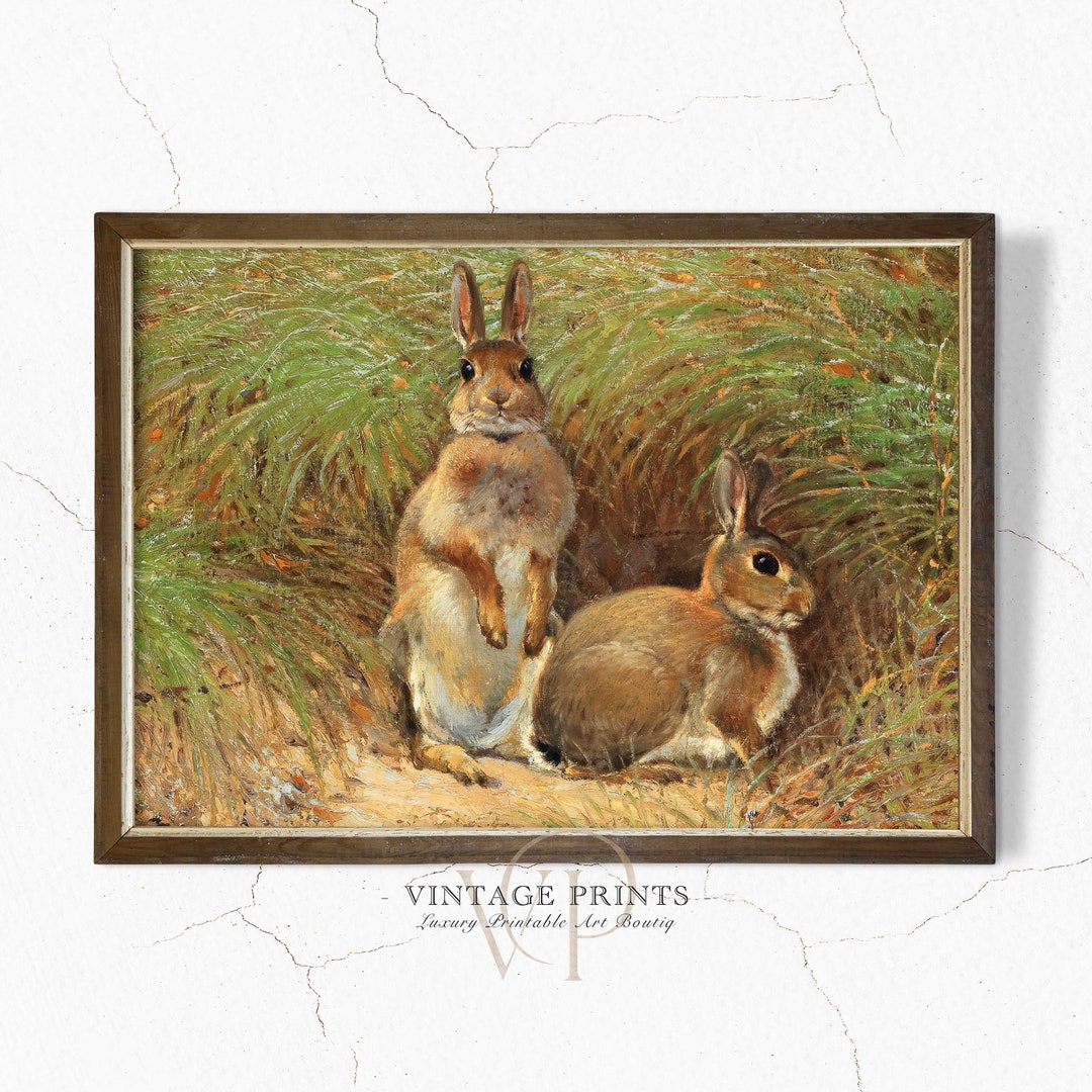 Rabbit Vintage Animal Print Nursery Wall Art Bunny - Etsy