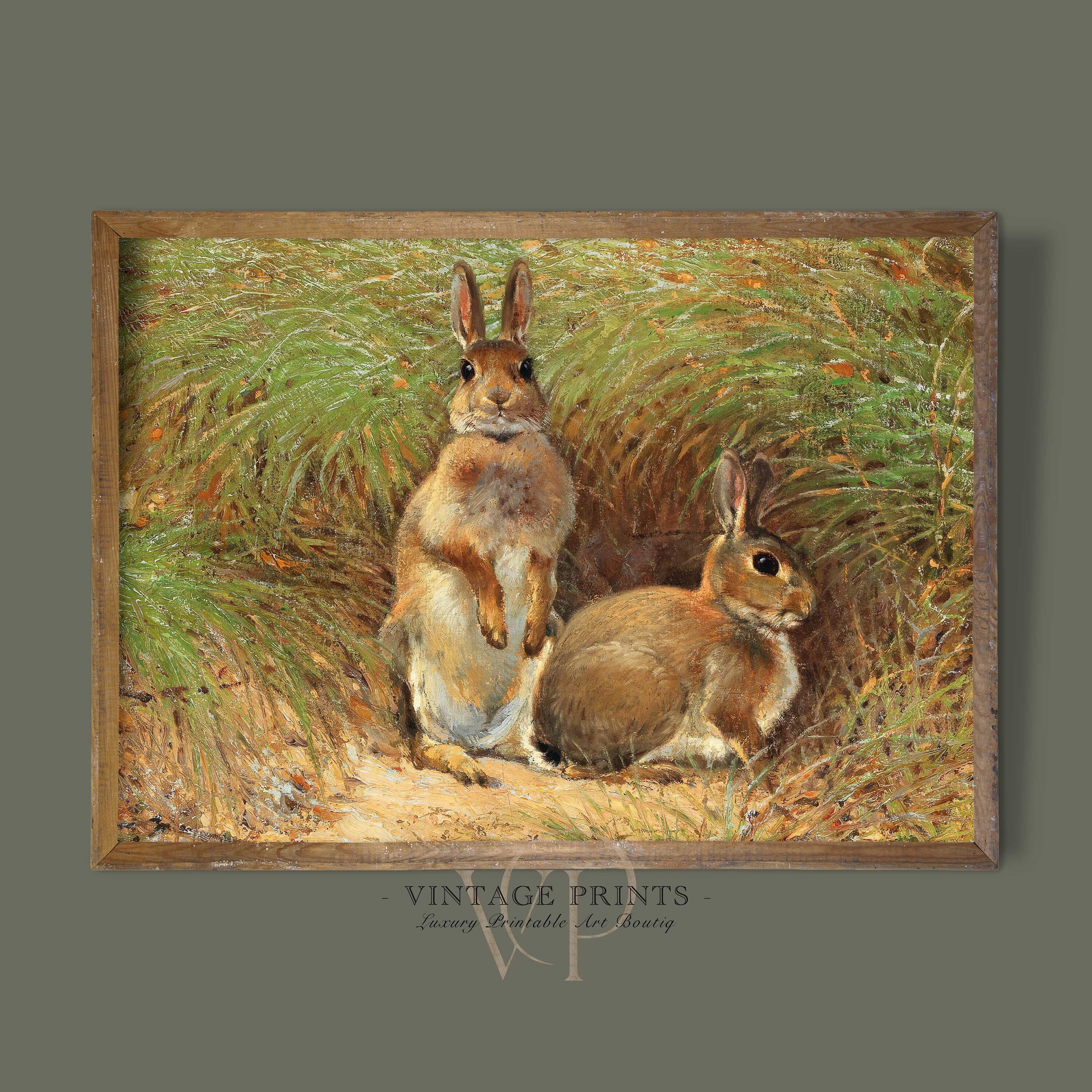 Rabbit Vintage Animal Print Nursery Wall Art Bunny - Etsy