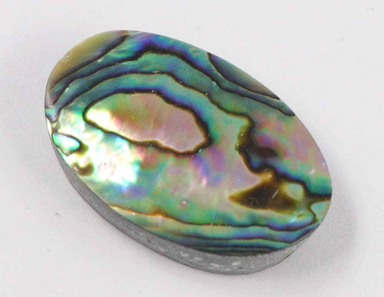 Abalone Shell Natural Gemstone Oval Shape Flat Bottom Jewelry - Etsy